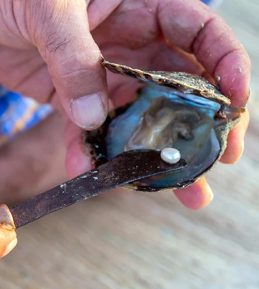 Pearls Care Guide | How To Clean Pearls – Shiels Jewellers